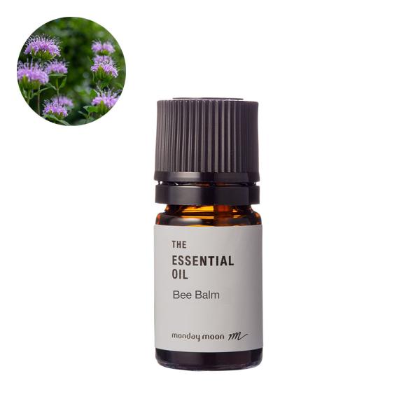 お試し商品 サンプル