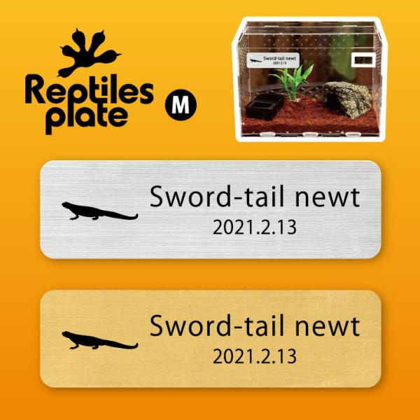 ケージや水槽をおしゃれに、専用 名札 プレート【商品の特徴】シリケンイモリ用のケージや水槽に取り付けられるアクリル製ネームプレートです。名前、種類、迎えた日などを彫刻し、水族館のような高級感を演出。アクアリウム、テラリウム、パルダリウムに最...