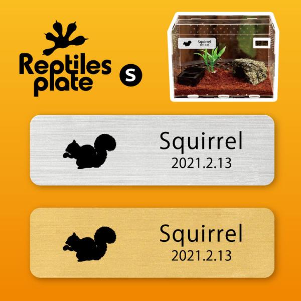 ケージや水槽をおしゃれに、専用 名札 プレート【商品の特徴】リスのイラスト入りケージ・水槽用ネームプレート。種類、名前、誕生日などを彫刻し、水族館のような高級感を演出。アクリル製で、シルバー、ゴールド、ブロンズ、ホワイトの4色展開。爬虫類、...