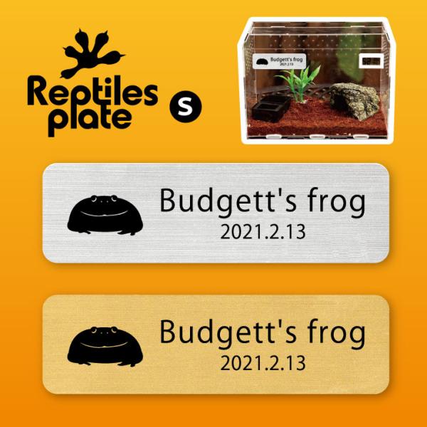 ケージや水槽をおしゃれに、専用 名札 プレート【商品の特徴】バジェットガエルのケージや水槽をおしゃれに飾るネームプレート。マルメタピオカガエルの名前や種類を手書き管理から卒業し、博物館のような高級感を演出。アクアリウム、テラリウム、パルダリ...