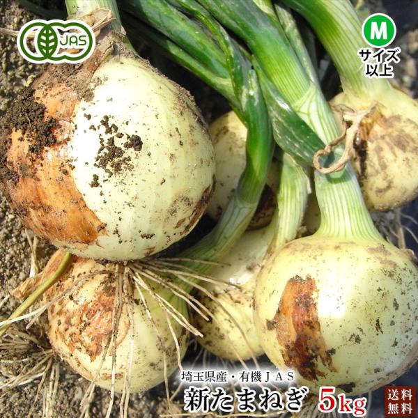 平成元年より農薬化学肥料不使用で玉ねぎやじゃがいもを栽培しはじめ、今では２０種類以上の野菜を栽培し、平成１２年より有機ＪＡＳの認定を取得し、安心安全の野菜を育てております。