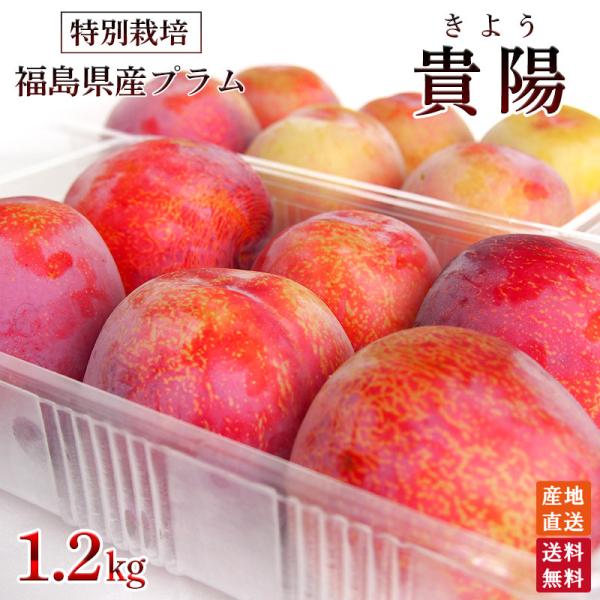 化学肥料不使用・低農薬（当地比50％削減）の特別栽培！