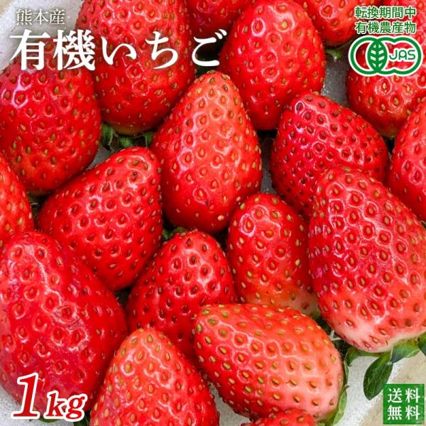 栽培期間中、農薬・化学肥料不使用で栽培した大変貴重なオーガニックの苺です。甘みが強く香り豊かな濃厚な味わいをぜひ一度お召し上がりください。