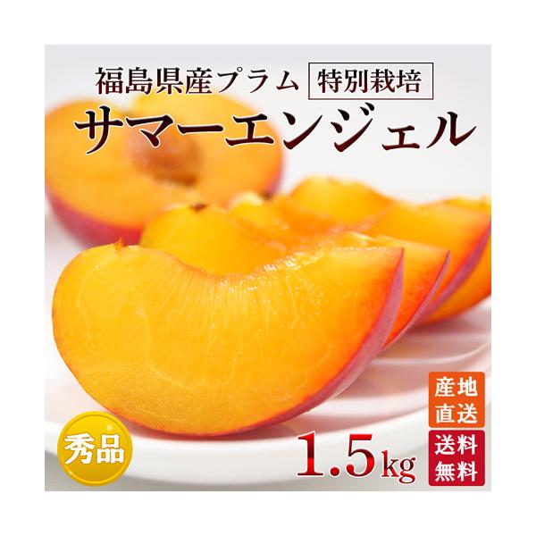 化学肥料不使用・低農薬（当地比50％削減）の特別栽培！