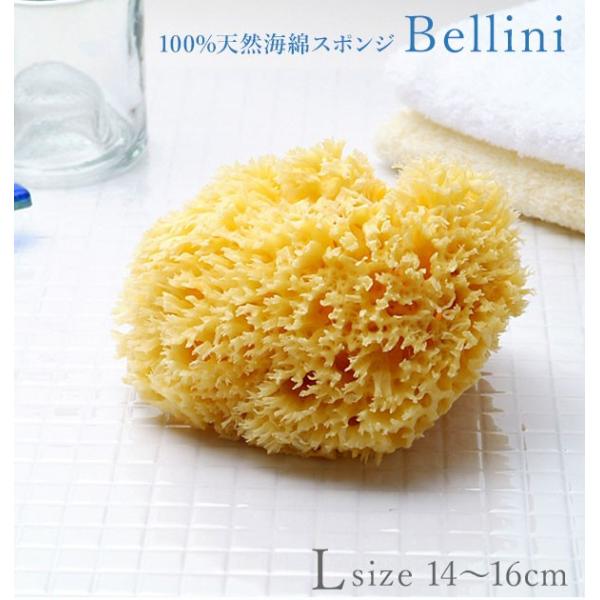 ボディスポンジ Bellini ベリーニ  通販 天然海綿スポンジ 天然海綿 ハニコム種 SA16 Lサイズ 約14〜16cm お風呂 洗顔 海綿スポンジ 天然スポンジ ベビー 赤ちゃん 柔らか やわらか ふわふわ ソフト 敏感肌 乾燥肌 ...