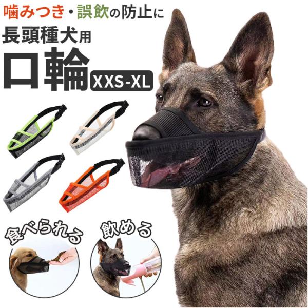 お正月 初売り 初詣 お年玉 成人の日 成人式 節分 バレンタインデー 桃の節句（ひなまつり） ホワイトデー 春物入荷 お花見 入学式 ゴールデンウィーク 母の日 衣替え 父の日 梅雨 夏物入荷 山開き 海開き 七夕 お中元 暑中お見舞い ...