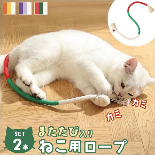 お正月 初売り 初詣 お年玉 成人の日 成人式 節分 バレンタインデー 桃の節句（ひなまつり） ホワイトデー 春物入荷 お花見 入学式 ゴールデンウィーク 母の日 衣替え 父の日 梅雨 夏物入荷 山開き 海開き 七夕 お中元 暑中お見舞い ...