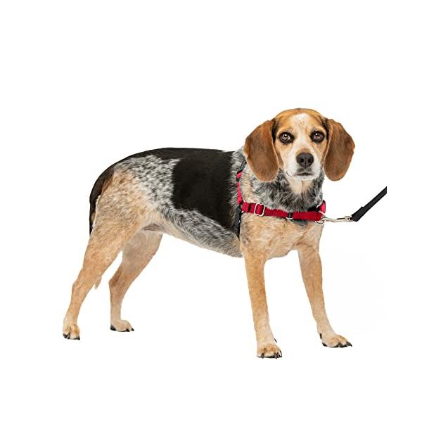 ※併売のため、在庫切れの際はご了承ください。発送委託により倉庫業者がお届けする場合がございます※犬の動きを効率的に押さえるため、お散歩時の引っ張りがなくなります。ハーネス型なので、犬が嫌がりません。レッド・ブラック・ブルー・グリーン・パープ...