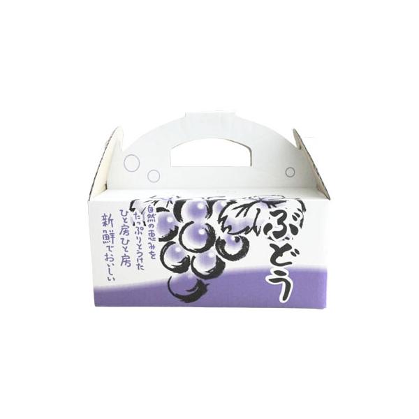 持ち手つきのぶどう箱持ち手付きのぶどう用の化粧箱ケーキ箱のような持ち手付きのぶどう用化粧箱です。持ち手付きだから持ち運びが楽です。手土産や贈答品としても適しています。サイズ：260mm×190mm×高さ120mm入数：1枚色：白容量：ぶどう...