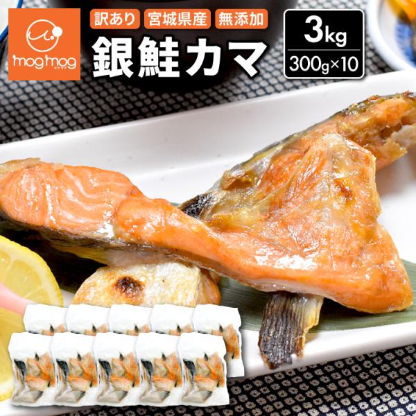 名称：銀鮭カマ原材料名：銀鮭(宮城県産)、食塩内容量：3kg／300g×10(サイズ無選別)賞味期限：家庭用冷凍庫で約1か月保存方法：要冷凍（-18℃以下）販売者：アイ・アム・コンサル株式会社宮城県仙台市青葉区大町1-3-7 裕ビル5F