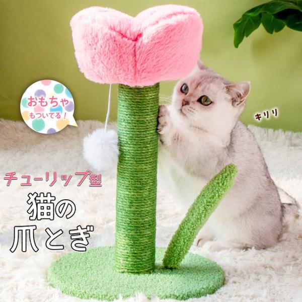 【 サイズ 】 高さ40cm、底面直径25cm【 素材 】 剣麻、綿 【 重量 】 0.8kg?? 【白いぽんぽんで遊べる】白いぽんぽんが付いており、猫ちゃんが爪とぎだけでなく、オモチャとしても楽しめます。お花のそばで遊ぶ姿がとても愛らしい...