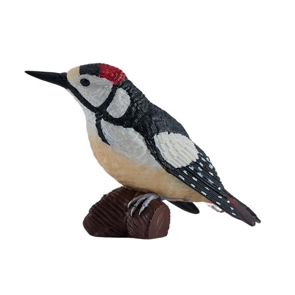 【発売日：2026年03月03日】野鳥シリーズフィギュアのキツツキです。Mojo の動物フィギュアは英国でデザインされ、最も安全なノンフタル酸PVC素材を使用して製造されています。動物のリアルな姿を実現するために手描きで細部まで丁寧に作られ...