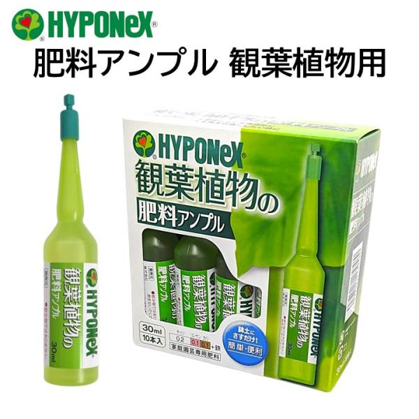 ・いろいろな観葉植物の生育に必要なチッソ・リンサン・カリと鉄をバランス良く配合。・いろいろな観葉植物に使えます。・緑をより鮮やかにし、丈夫な株に育てます。・根からすばやく吸収されます。・30ml 10本入使用方法キャップの先端をねじ切り根か...