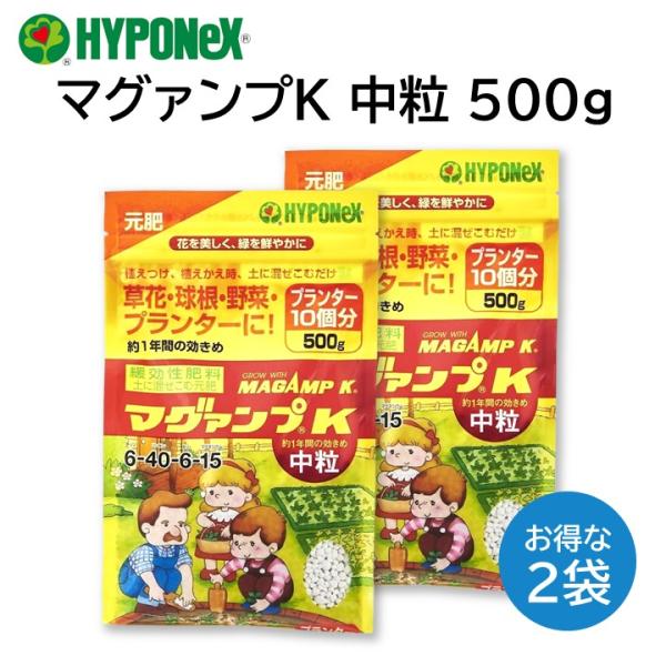 ・お得な２袋セット・土に1回混ぜ込むだけで長く効く元肥(約1年間の効きめ)・いろいろな植物の植えつけ、植え替え時に土に混ぜ込むだけで、ゆっくり長く効き続け、植物の生育を良くします・リンサン（Ｐ）の効果で、花・実つきを良くすることはもちろんの...