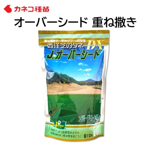 商品説明・カネコ種苗 西洋芝の種 オーバーシード 1L袋・高品質で日本の気候に適した配合・1L袋で約10平米-20平米・生産地： アメリカ・品種 ：ペレニアルライグラス ラバー配送方法ヤマト運輸にて発送いたします。複数ご購入いただいた場合に...