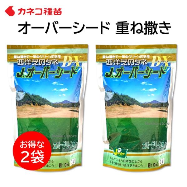 商品説明・お得な2個セット・カネコ種苗 西洋芝の種 オーバーシード 1L袋・高品質で日本の気候に適した配合・1L袋で約10平米-20平米・生産地： アメリカ・品種 ：ペレニアルライグラス ラバー配送方法ヤマト運輸にて発送いたします。複数ご購...