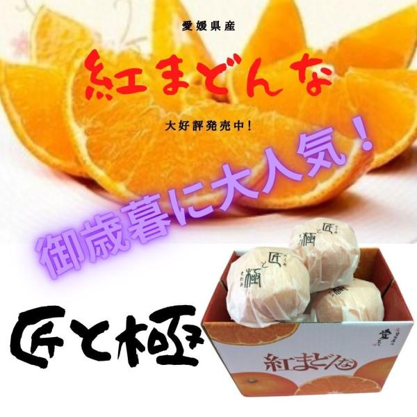 【発売日：2020年11月08日】紅まどんな 「匠と極」1.5kg 「紅まどんな」JA全農えひめのオリジナル品種　　　　南香と天草の交配品種。たいへん薄くてやわらかい外皮とじょうのう膜（薄皮）を持ち、果肉もゼリーのようになめらかで果汁たっぷ...