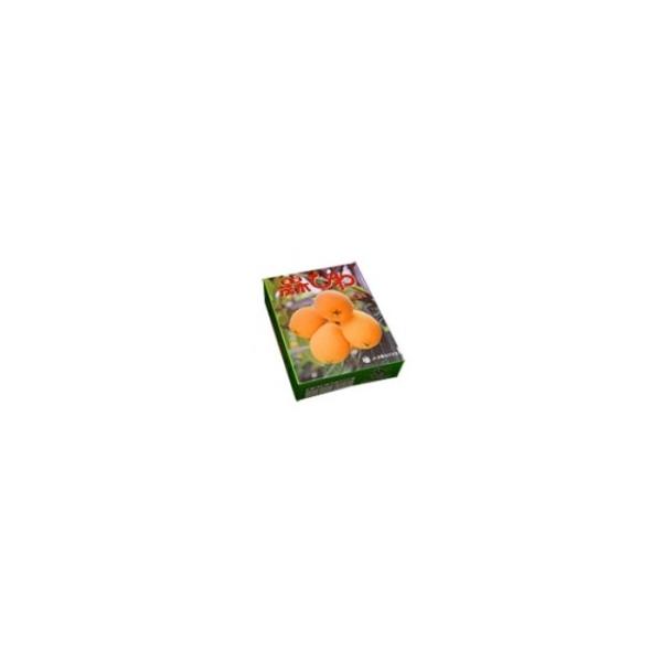 【発売日：2021年04月01日】「長崎県産」ハウス茂木びわ　　　　　ハウス茂木びわ★Lサイズ12個入り（500ｇ）化粧箱入りオレンジ色の果実は春から初夏の季節感を感じさせてくれます。全国出荷量の70％以上のシェアを誇り、品質・内容ともトッ...