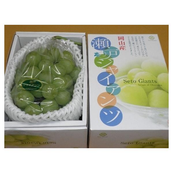 瀬戸ジャイアンツ 【青秀】 1房(700g)  岡山特産 薄皮で皮ごと食べれて、しかも種無し!晴れの国おかやまの新しい味です。瀬戸ジャイアンツは、２０年余りの歳月をかけて生み出された岡山の新しい葡萄です。果皮がうすいので、そのまま粒ごと食べ...