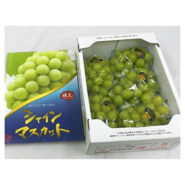 【訳あり家庭用】シャインマスカット【晴王】 【訳あり】3〜6房(2kg) 岡山特産 皮まで食べれて種無し高糖度ぶどうです。JA全農おかやま登録品種です。★シャインマスカット【晴王】はJA全農おかやま登録品種です。酸味が少なく、高糖度の甘みが...