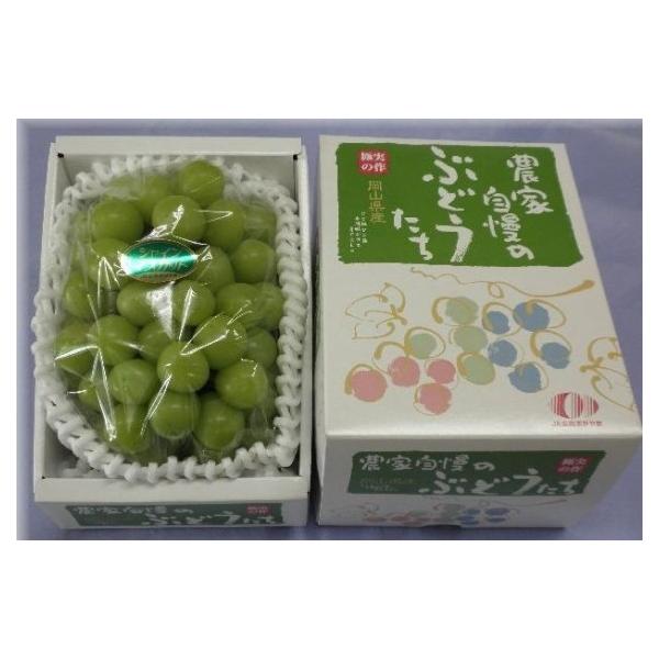 シャインマスカット【秀品】1房(800ｇ以上) 岡山特産 糖度が高くて種がなく皮ごと食べられるのが特徴の葡萄です。★シャインマスカット。酸味が少なく、高糖度の甘みが強いぶどうです(糖度16度以上）。種がなく皮ごと食べられるのが特徴です。まだ...