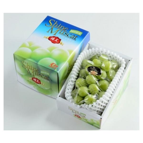 シャインマスカット【晴王】【優品】1房(800ｇ以上)　皮まで食べれて種無し高糖度ぶどうです。JA全農おかやま登録品種です。★シャインマスカット。酸味が少なく、高糖度の甘みが強いぶどうです(糖度16度以上）。種がなく皮ごと食べられるのが特徴...