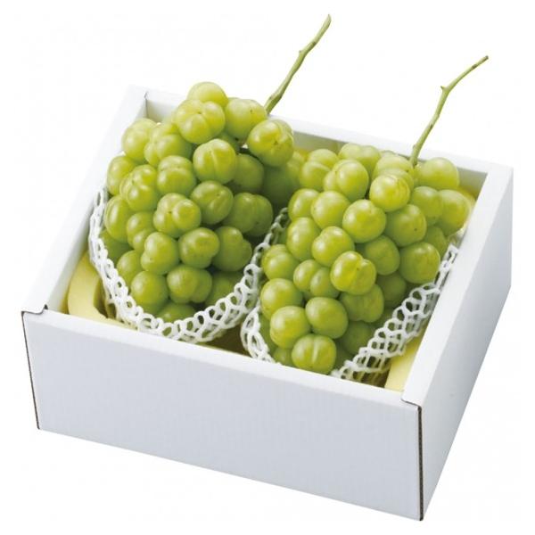 ぶどう 桃太郎ぶどう 【青秀】 2房(1.2kg) ふるさと物産品