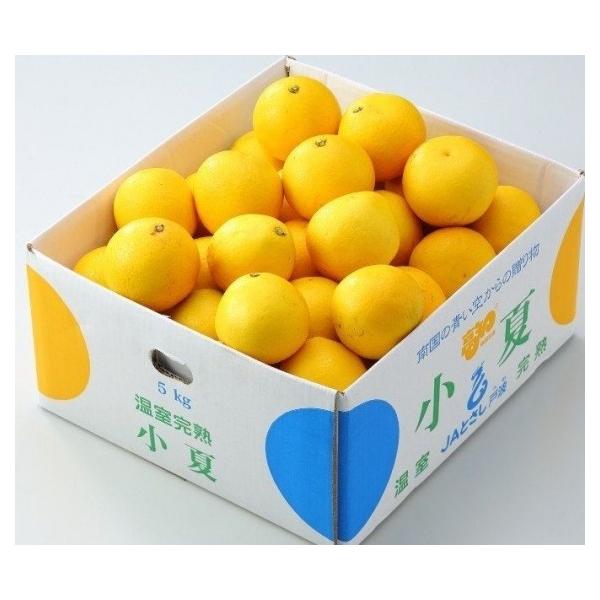 【発売日：2021年04月01日】高知産「小夏」（ニューサマーオレンジ ）まっこと旨い！ 南国の太陽を浴びて育った甘くて新鮮な柑橘土佐小夏の美味しい食べ方土佐小夏は、内側の白い皮も食べるのが特長です。この白い部分も柔らかくほんのり甘味があっ...