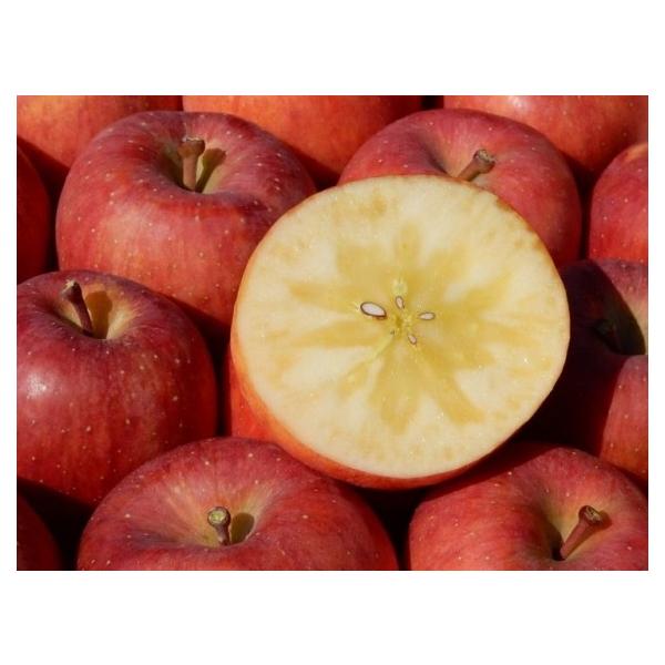 【発売日：2020年11月16日】高徳（こうとく）山形県産　【蜜入りりんご】13〜18個 約5kg。高徳（こうとく）は1985年に品種登録以降、驚きの蜜入りんごでありながら小玉で色づきも悪く、品質にもバラつきがあったことから、やがて市場から...