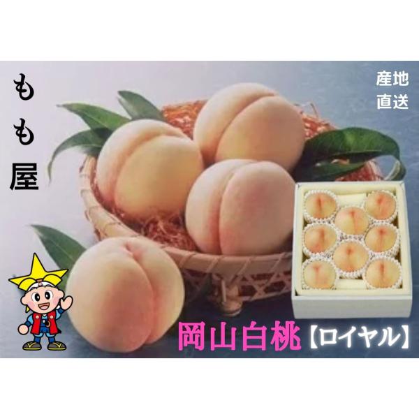 晴れの国おかやまの「岡山白桃」ロイヤル★光センサーを透して、糖度が12度以上のものを、「ロイヤル」といいます。透き通るほど白く美しい果肉は、みずみずしくてとろけるような甘さでジュウーシーで濃厚な味です。★岡山白桃とは、地域名と商品名を組み合...