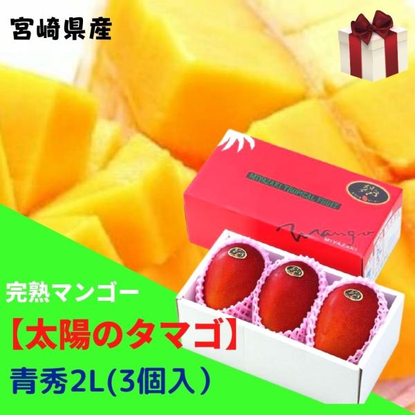 みやざきブランド！」完熟マンゴー「太陽のタマゴ」青秀 2Ｌ(約350ｇ以上×3個) (糖度15度以上) JA宮崎。※※北海道・沖縄・一部離島は送料1,500円となります※※ご注文後、当店より注文承諾メールにて金額変更案内をさせていただきます...