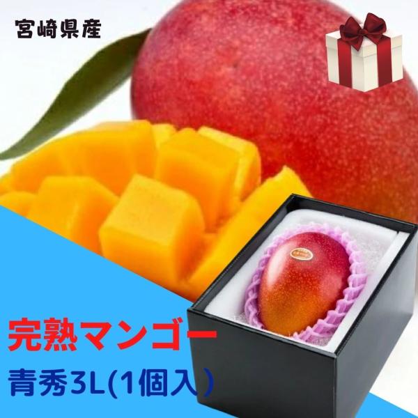 ★「情熱みやざきブランド！」完熟マンゴー（1個入り） 青秀 3L（450g以上）旨い！一度食べたら忘れられない味です！宮崎のマンゴーは、「完熟」にこだわり、樹上で熟し自然に落果したものだけをネット袋でキャッチし収穫します。産地では、この方法...