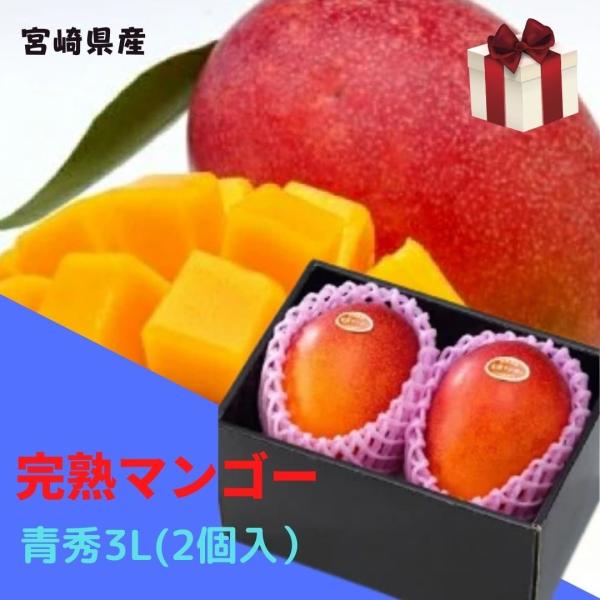 ★「情熱みやざきブランド！」完熟マンゴー（2個入り） 青秀 3L（約450g以上×2個）旨い！一度食べたら忘れられない味です！宮崎のマンゴーは、「完熟」にこだわり、樹上で熟し自然に落果したものだけをネット袋でキャッチし収穫します。産地では、...