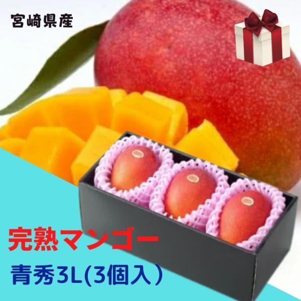 ★「情熱みやざきブランド！」完熟マンゴー（3個入り） 青秀 3L（約350ｇ以上×3個）旨い！一度食べたら忘れられない味です！宮崎のマンゴーは、「完熟」にこだわり、樹上で熟し自然に落果したものだけをネット袋でキャッチし収穫します。産地では、...