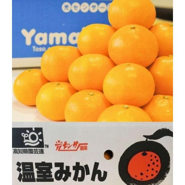 ★超甘さ抜群！「高知山北温室栽培ハウスみかん」　　　　　　　　　　　　　　　緑秀2Sサイズ （5ｋｇ）★超甘さ抜群！「高知山北温室栽培ハウスみかん」。太陽いっぱいに浴びたハウスみかんは、温度管理と水分調整の追及により糖酸のバランスが良く味が...