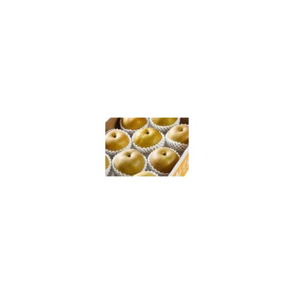 新甘泉（しんかんせん）「JA鳥取オリジナル品種」【赤秀】約5kg（10〜14個入り）鳥取の二十世紀梨が生んだ赤梨の新生、鳥取県オリジナルの『新甘泉(しんかんせん)』です。高糖度の「築水」に「おさ二十世紀」をかけ合わせた新品種です。なんといっ...