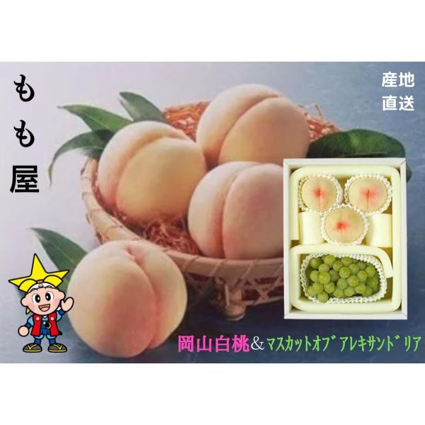 夏の逸品！岡山白桃とマスカットオブアレキサンドリアの詰め合わせ気品に溢れた最高級の桃、それが、おかやま白桃です。 皮をめくると、とてもジューシーでとろけるような白い果肉の桃と瀬戸内の、恵まれた風土と、優れた栽培技術で、育てられた、マスカット...