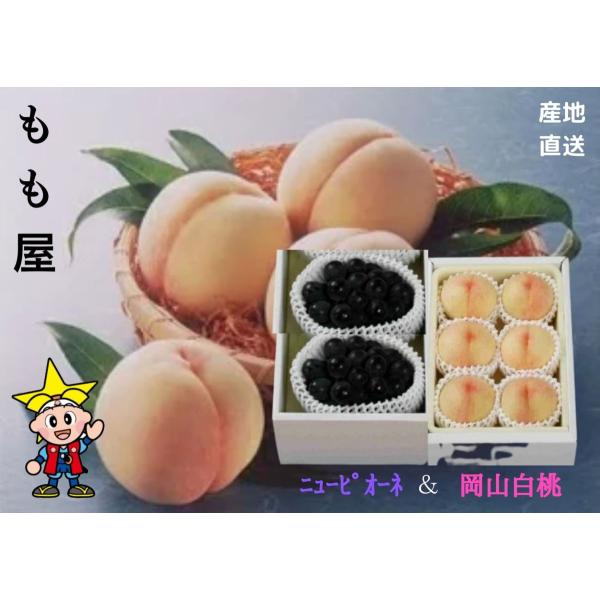 ○岡 山 白 桃 4個〜6個(約1.4kg)晴れの国おかやまで、育った夏の逸品、１個１個丁寧に、袋を掛けて、育った岡山白桃、光センサーを、透した高糖度の桃です。○ニューピオーネ（加温温室栽培）（2房）今、岡山県が一番力を、入れて栽培している...