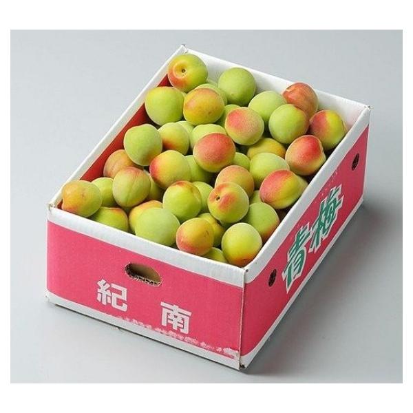 紀州 南高梅 和歌山県産。南高梅は大玉で果肉はとても柔らかく種が小さいので、梅酒・梅ジュース・梅ジャム・梅干しなど様々な用途に合わせてお使いいただけます。 お届けの日付指定および時間指定はできません。予めご了承ください。お客様に新鮮な商品を...