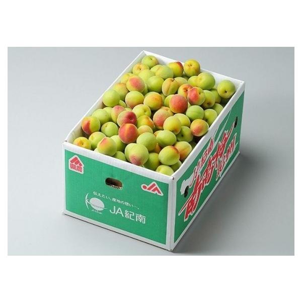 紀州 南高梅 和歌山県産。南高梅は大玉で果肉はとても柔らかく種が小さいので、梅酒・梅ジュース・梅ジャム・梅干しなど様々な用途に合わせてお使いいただけます。 お届けの日付指定および時間指定はできません。予めご了承ください。お客様に新鮮な商品を...