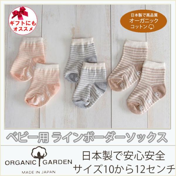 日本製　オーガニックコットン　ベビー用ラインボーダーソックス。オーガニックガーデン organic garden。敏感な新生児赤ちゃんの肌に優しいオーガニックコットン。サイズ10cm〜12cm。着用期間は、新生児から6ヶ月頃までを目安にお考...