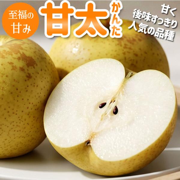 品名梨サイズ3kg箱(2.8kg〜)保存方法梨は乾燥に弱いのでジッパー付きの袋に入れるかラップして冷蔵庫の野菜室で7日間（できれば5日程度）でお召し上がりください。産地栃木県発送元大時果樹園栃木県宇都宮市