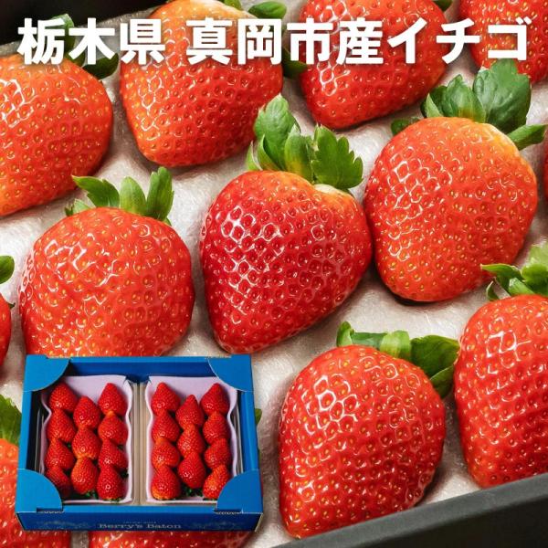 農林水産大臣賞など数々の賞を受賞した農園より直送。容量選べる。切り口がハート型になる愛らしいイチゴ「とちあいか」。JGAP認定農場品名いちご (とちあいか)内容量560g×1箱原産地栃木県真岡市製造ベリーズバトン(栃木県真岡市)備考業務用・...