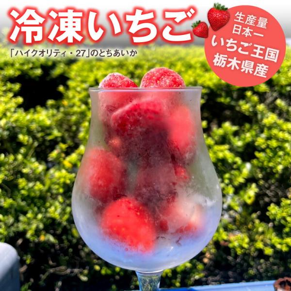 いちごの生産量トップクラスの栃木県から旬の果物「苺」を産地直送でお届け！「ハイクオリティ・27」の「とちあいか」を冷凍しました。新鮮な美味しさをそのままに！冷凍イチゴをお届け！いちご農家による新鮮なイチゴを冷凍した冷凍イチゴ。 イチゴ本来の...