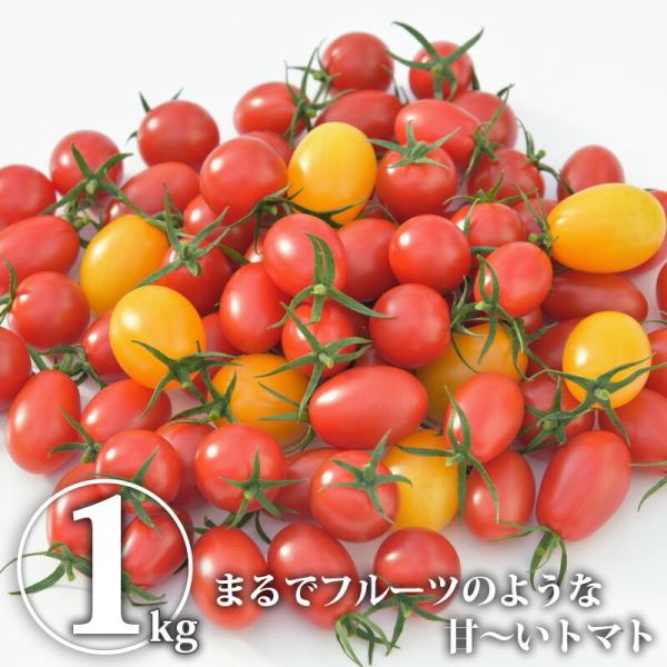 トマト本来のうまみをギュッと閉じ込めた