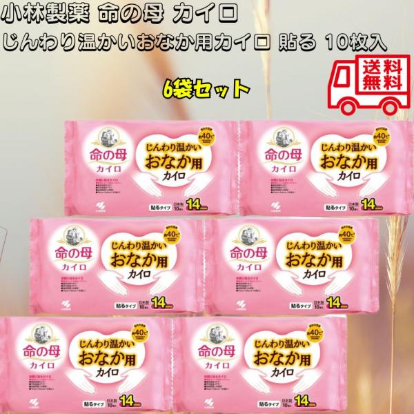 小林製薬 命の母 カイロ じんわり温かいおなか用カイロ 貼るタイプ 10個入 衣類に貼るカイロ 6袋セット 冷え性 生理痛 温活 冷え対策 生理 野外活動 外出 6袋 JAN:4901548603851からだをやさしく温める、「命の母」ブラ...