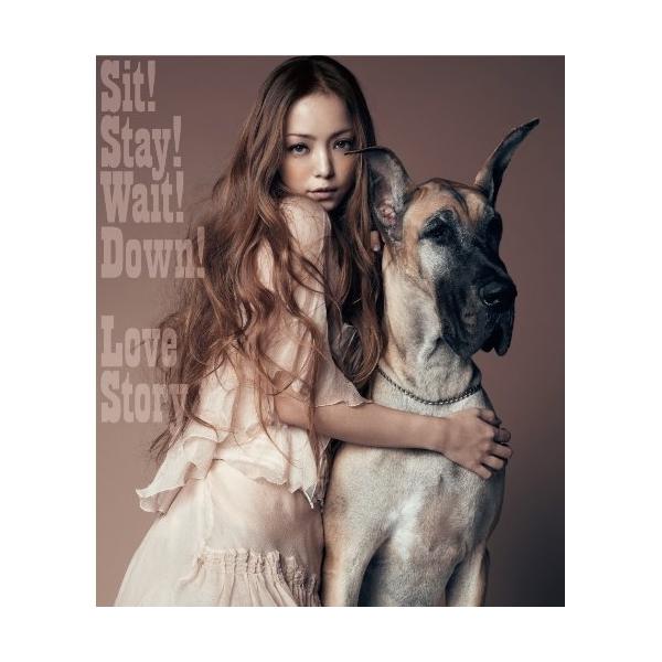 【発売日：2011年12月07日】安室奈美恵 (ナミエアムロ なみえあむろ)2011年12月7日 発売安室奈美恵の2011年第2弾シングル。「Sit! Stay! Wait! Down!」は、彼女らしさを活かしたユニークなダンス・チューン!...