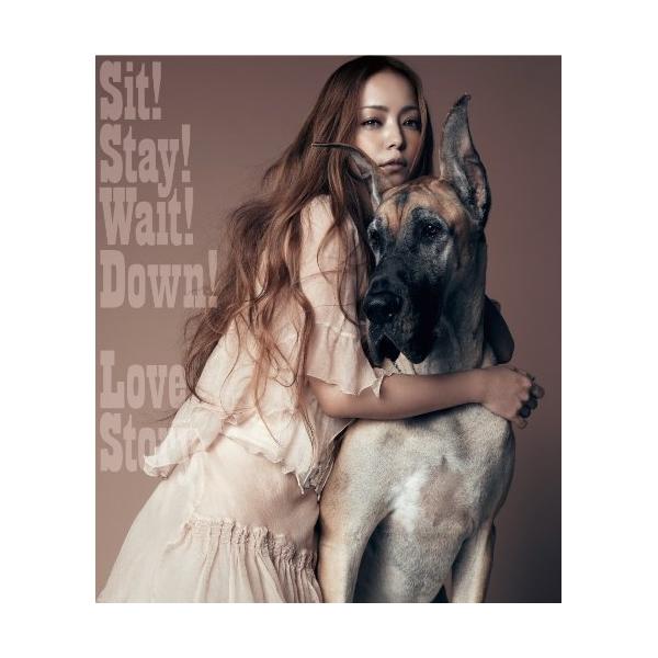 【発売日：2011年12月07日】安室奈美恵 (ナミエアムロ なみえあむろ)2011年12月7日 発売安室奈美恵の2011年第2弾シングル。「Sit! Stay! Wait! Down!」は、彼女らしさを活かしたユニークなダンス・チューン!...