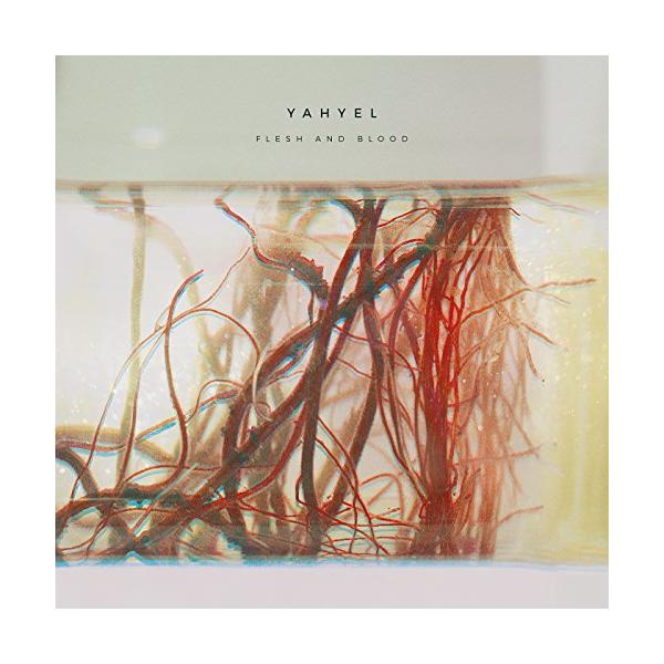 【発売日：2016年11月23日】yahyel (ヤイエル やいえる)2016年11月23日 発売