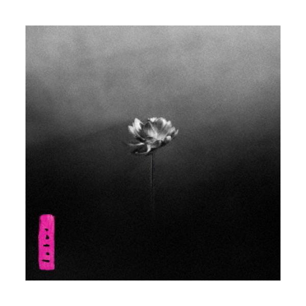 【発売日：2025年06月06日】リトル・シムズ (リトルシムズ りとるしむず)2025年6月6日 発売CD:11.THIEF2.FLOOD featuring Obongjayar &amp; Moonchild Sanelly3.YOU...